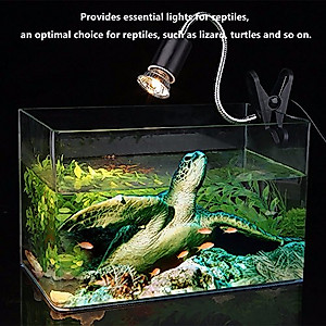 HIIZORR Heat Light for Reptiles Tortoise 720°Rotating Flexible Clamp Lamp Lizard Or Amphibian Adjust Brightness Habitat Lighting Holder, Bulb Not Included,Fit E27 Bulb |RESPECTING