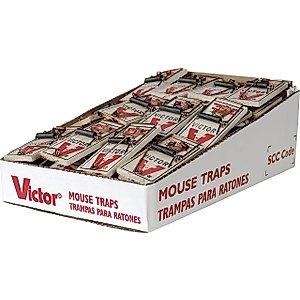 Victor Pest Metal Pedal Mouse Trap Bulk 72 Count [Set of 72]72