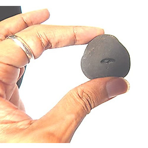 XUETZALCOATL Jyotiraadityah Sudarshan Shaligram 1.5cm - 2.5cm from Kali Gandaki 1 pcs
