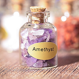 SUNYIK 9 Mini Gemstone Bottles Chip Crystal Healing Tumbled Gem Reiki Wicca Stones Set