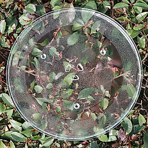 14-1/8" Microwave Glass Turntable Tray works for Samsung DE74-20002B DE74-20002A DE7420002 1150157 MC7698W ME1460SB MG14H3020CM MG7980W MS1470WA PS4234950 Microwave Oven Cooking Plate 36CM