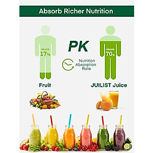 Masticating Juicer Machines, Juilist Cold Press Juicer Extractor with Quiet Motor & Reverse Function for Vegetables and Fruits, Slow Juicer Machine Easy to Clean with Brush, Recipe Included