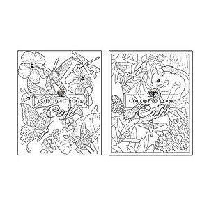Hummingbird Coloring Book: An Adult Coloring Book Featuring Charming Hummingbirds, Beautiful Flowers and Nature Patterns for Stress Relief and Relaxation