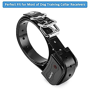 LuckinPET Waterproof Dog Collar Replacement Strap for Shock Collar and Fence Easy Clean Odorless Dog Collar Metal Buckle 3/4 Inch Adjustable Size Durable Anti-Odor TPU Dog Collar