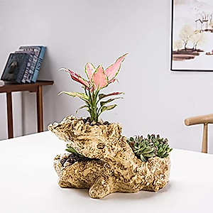 DOITOOL Tabletop Ornament Flowerpot Resin Clay Pot Cactus Desktop Flowerpot