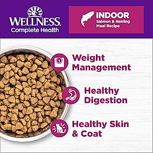 Wellness Natural Pet Food Complete Health Natural Grain Free Salmon & Herring Indoor Dry Cat Food, 11.5 Pound Bag