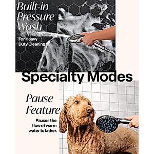 Veken Filtered Shower Head with Handheld