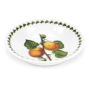 Portmeirion Pomona Collection | Set of 6 | Ceramic Dinnerware Dish Set | Microwave and Dishwasher Safe | Assorted Fruit Motifs | Made in England (Pasta/Low Bowl)