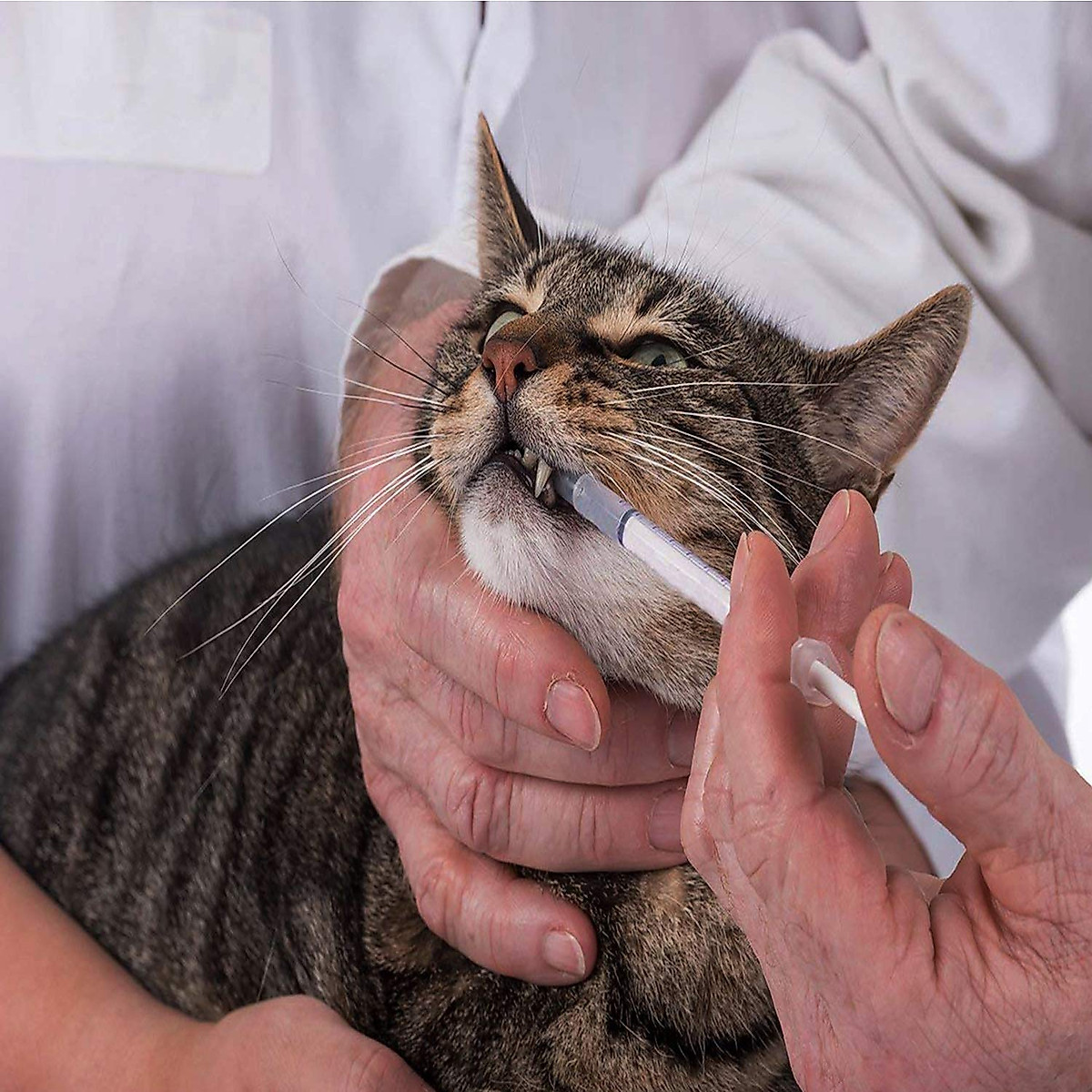 100 Pcs 1ml 1cc Syringe No Needle Plastic Syringe with Caps for Pets Oral, Refilling, Oil or Glue Applicator, Measuring or Transfering Tiny Amount of Liquids