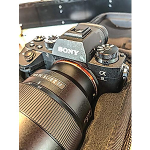 GoScope Alpha PRO CASE - Hard case Compatible with Sony A7S II, A7R II, A7 III, A7R III, A7R IV, a7S III, A9, A9II, A1 (Alpha 1) -Fits Camera Body w/ Lens Sizes 10mm to 136mm - FITS Camera & Lens