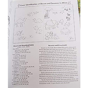 Rod & Staff Preschool Curriculum - GHI JKL Series - Early Learning Homeschool Set of 6 Workbooks