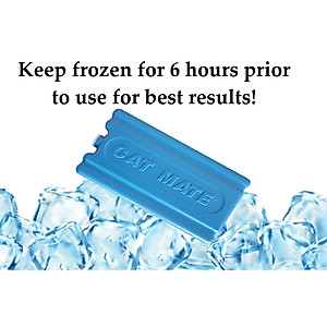 Cat Mate Single Replacement Ice Pack for the C20 and C200 Feeder