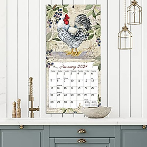 WSBL Roosters 2024 12X12 Wall Calendar (24997001691)