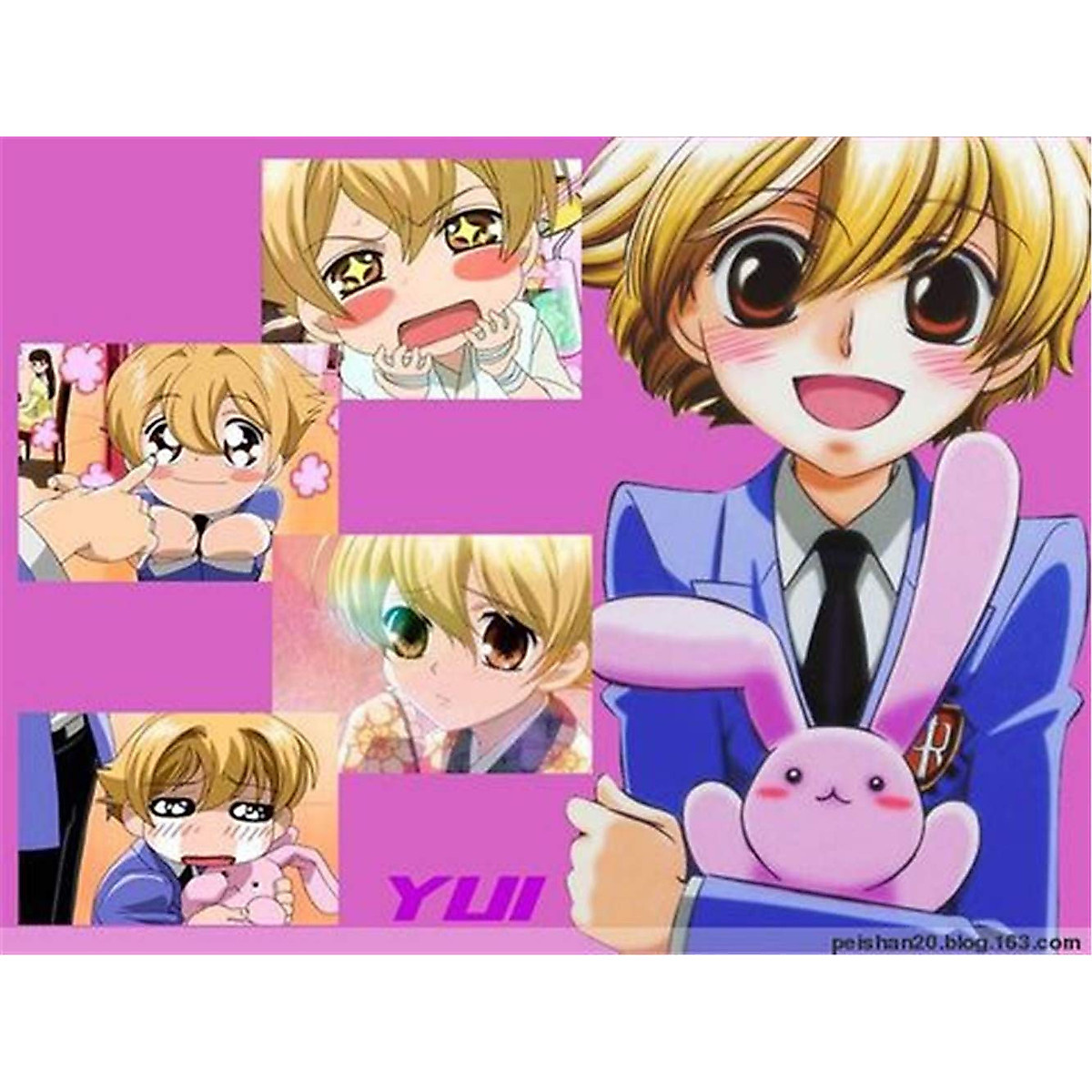 Ouran High School Host Club Pink Rabbit Plush Doll 16" Bun Rabbit of Haninoduka Mitsukuni