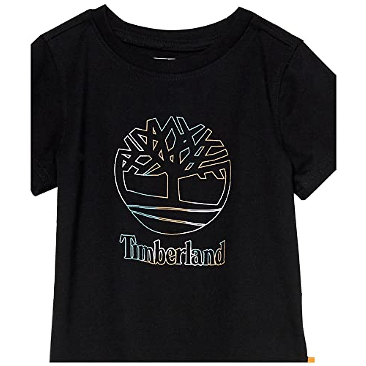 Timberland baby boys 2 Pieces Tee Shorts Set, Deep Black, 12M US