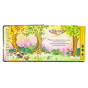 Grandma Wishes: Recordable Keepsake Board Book - Record Your Voice Reading the Story!