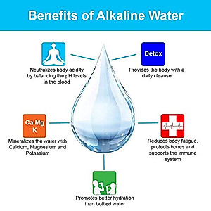 Premier Water Systems Portable Counter Top Alkaline Reverse Osmosis Water Filtration System - 50 GPD