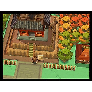 Pokemon SoulSilver Version