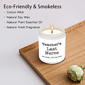 Teacher Appreciation Gifts, Best Teacher Gifts for Women, Funny Teacher Christmas Gifts, Birthday Gifts, Retirement Gifts, Thanksgiving Gifts for Teachers, Lavender Scented Candles