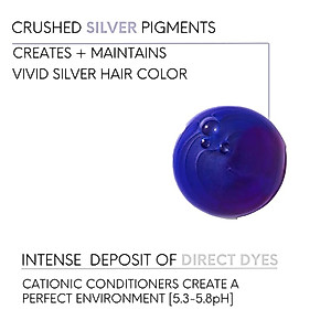Watercolors Intense Color Shampoo 8.5 oz Metallic Silver