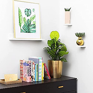 Small Trellis for Potted Plants Wrought Iron Leaf Shape Garden Trellis for Indoor Outdoor Decorative Climbing Plants Support Trellis for Vines Roses (Gold)