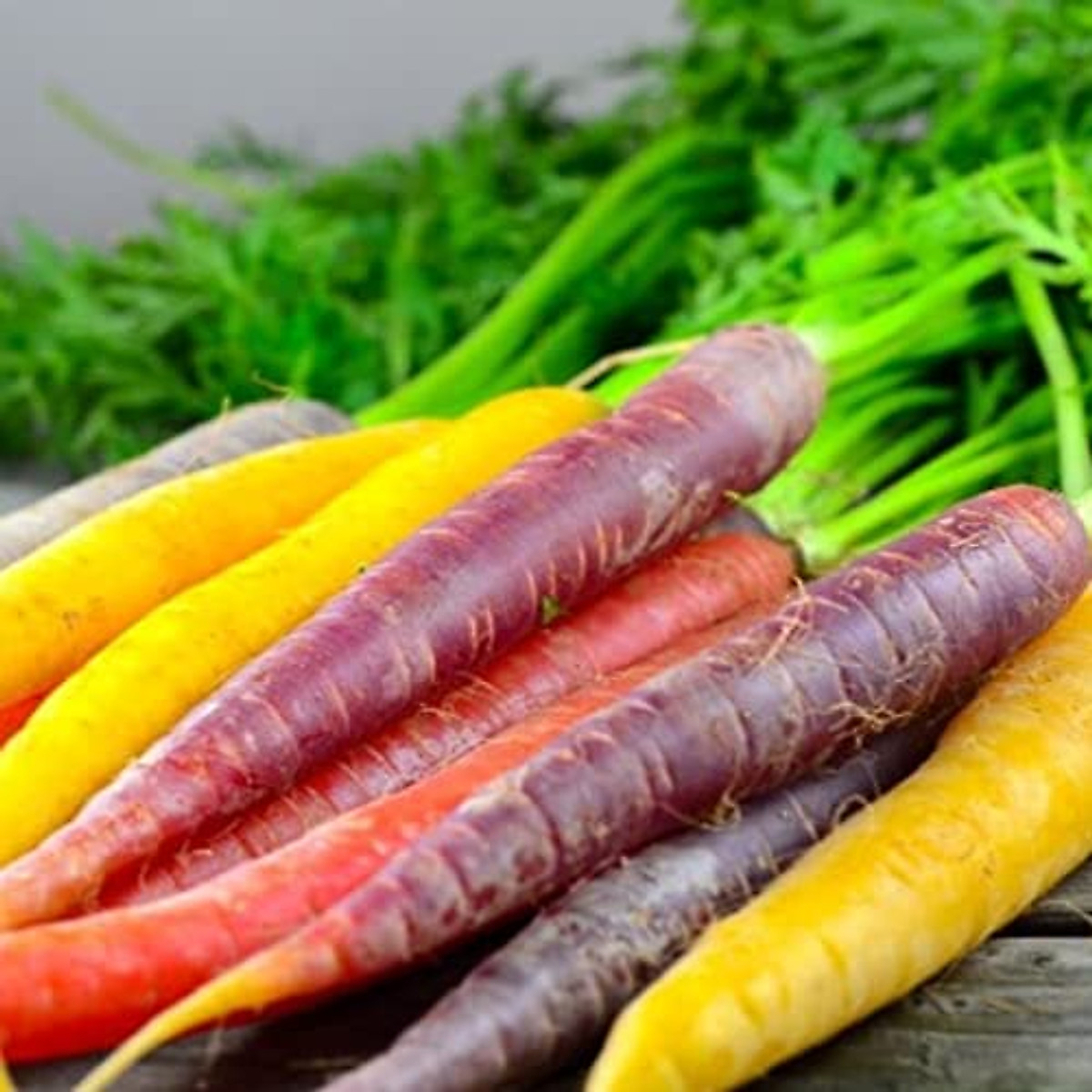 Rainbow Carrot Seeds for Planting | Non-GMO & Heirloom Vegetable Seeds | 750 Carrot Seeds to Plant Outdoor Home Garden | Buy Planting Packets in Bulk (1 Pack)