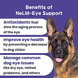 Mepet Eye Support for Dogs - Mouth Dissolving Strips, Eye Care and Vision Supplement - Antioxidants, Lutein, Beta-Carotene, Vitamin C & E for Eye Infection - Pet Health Supplies - Beef, 30 Strips