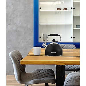 AMFOCUS Tea Kettle, 2 Quart Stainless Steel Whistling Tea Kettle, Stovetop Whistling Teakettle Tea Pots for Stove Top with Ergonomic Folding Handle, Small Teapot, Water boiler for Tea, Coffee (Black)