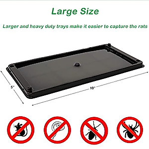 Mouse Trap, Glue Traps for Mice and Rats, Rat Traps Indoor,Heavy Duty Sticky Trap Mouse Insects Bed Bugs Spiders Cockroaches 10 Pack Large Size 10"×5"