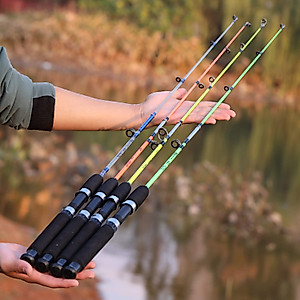 Sougayilang Fishing Rod, 2-Piece Composite Graphite & Glass Blanks Saltwater Trolling Rod Offshore Surf Fishing Pole for Catfish, Salmon Glass Fiber Spinning Rod - Green - 5.9ft