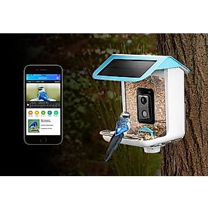 Sharper Image Video Camera Bird Feeder