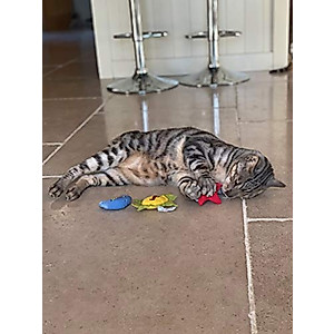 Yeowww! Catnip Cat Toy for Indoor and Outdoor Cats -Premium Quality Strong Catnip Toys for Cats (1x Crinkle Catnip Toy Sun 1 x Moon 1x Star), Purple, 3 Count (Pack of 1) (Yeoww Sun Moon and Stars)