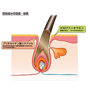 KAMINOMOTO | Hair Care Lotion Moisturizing | Hair Conditoner B&P 300ml