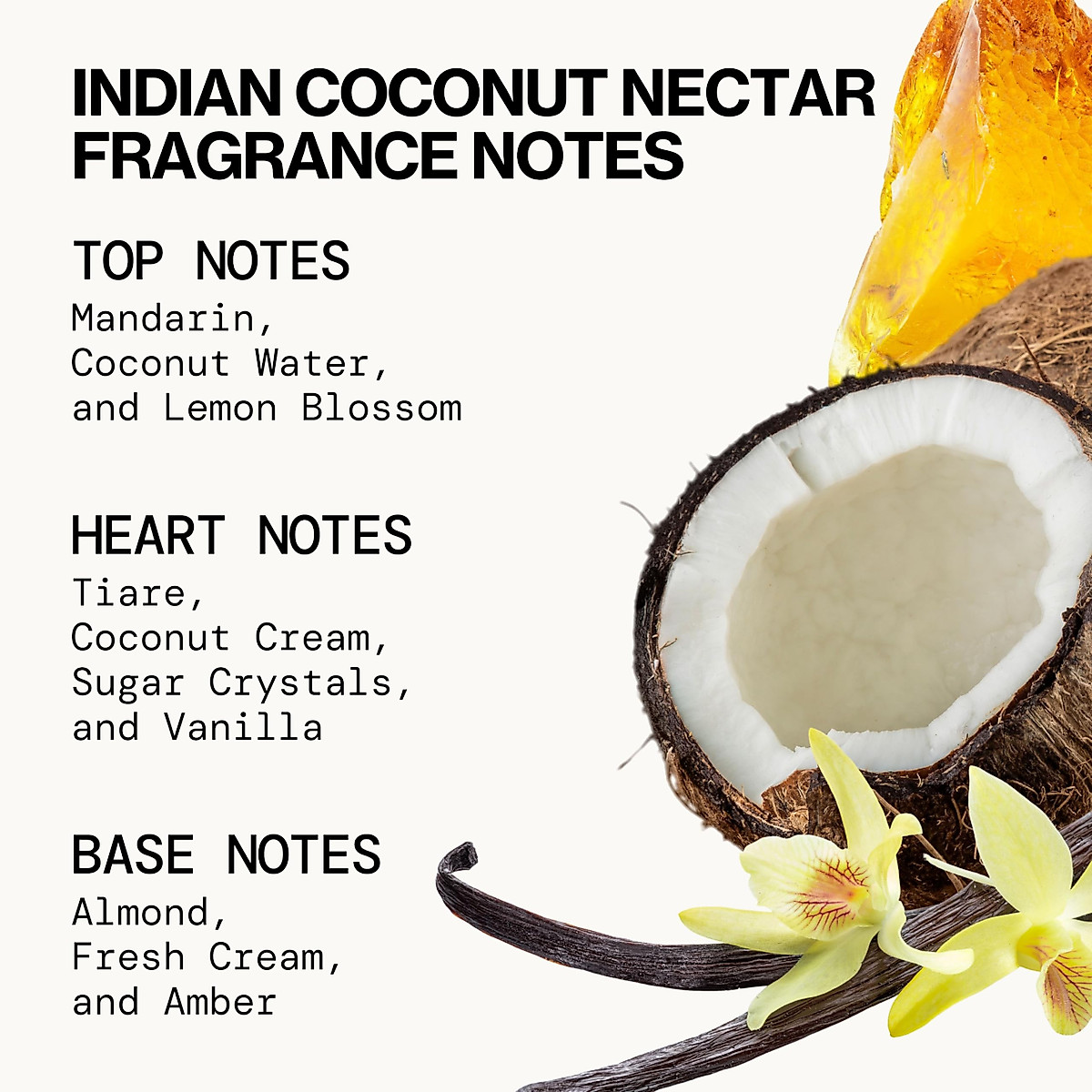 Pacifica Beauty, Wanderlust Spray Perfume Trial Set, Featuring Island Vanilla Mini, 5 Scents, Fragrance Sampler Gift Set, Natural + Essential Oils, Clean, Vegan + Cruelty Free