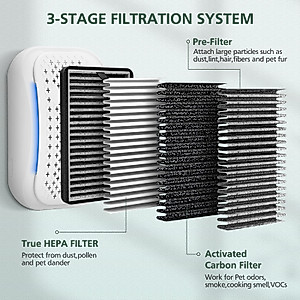 8 Pack DSTx HEPA + Carbon Filters Replacement Compatible with Clarifion DSTx Mini Personal Portable Air Purifiers for Home, Bedroom and Pets, Works for Dust, Smoke,Odors and Airborne Particles