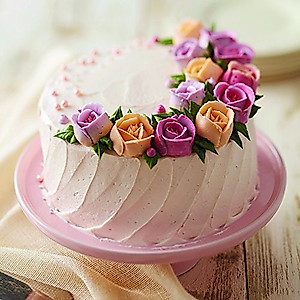 Wilton Piping Tips for Cake & Cupcake Decorating, 55-Piece Cake Supply Master Decorating Tip Set, Metal Tips