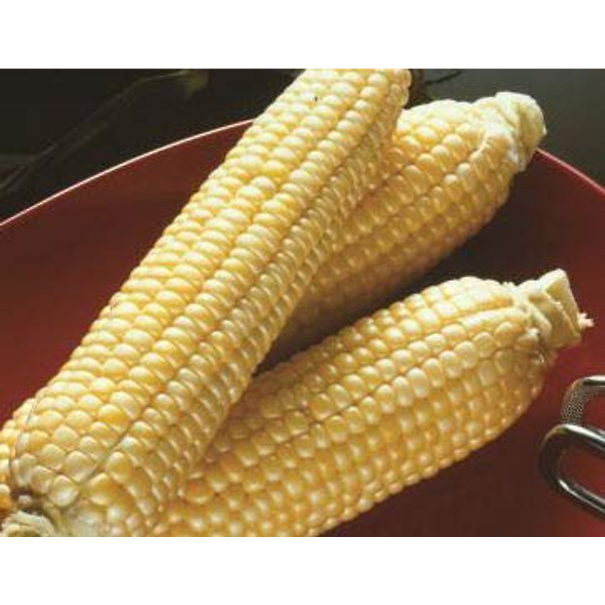 Sugar Buns Sweet Yellow Corn Seeds for Planting, 50+ Heirloom Seeds Per Packet, (Isla's Garden Seeds), Non GMO, 90% Germination Rates, Botanical Name: Zea mays, Great Home Garden Gift