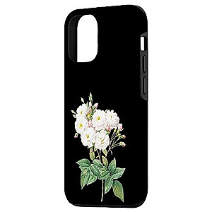 iPhone 13 Pierre Joseph Redoute White Roses Paint Flower Gardener Gift Case
