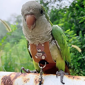 Bird Diaper Harness Flight Suit Clothes, Parrot Flight Suit with Leash for Parrot, Bird Flying Clothes with Rope and Handle for Outdoor Activities Training (with Leash,Green-cheeked Conure)