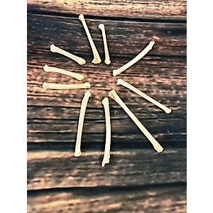 10 Real Red Fox Paw Bone Mountain Man Craft Supply Jewelry Earring Gothic Claws