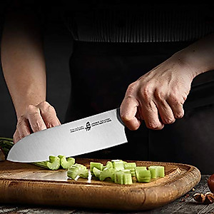 TUO Santoku Knife 5.5 inch Small Kitchen Knife Pro Asian Chef Knife Cooking Knife for Vegetable Fruit and Meat, AUS-8 Stainless Steel with Comfortable Handle, Gift Box Ring Lite Series