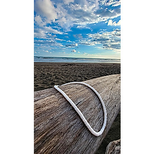 BlueRica Puka Shell Beads Necklace (18")