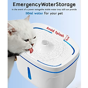 Cat Water Fountain, 84 fl oz/2.5L Ultra-Quiet Pet Water Fountain for Cats Inside with LED Light, Activated Carbon Filter, Cat Fountain Water Bowl, for Cats, Dogs, Multiple Pets