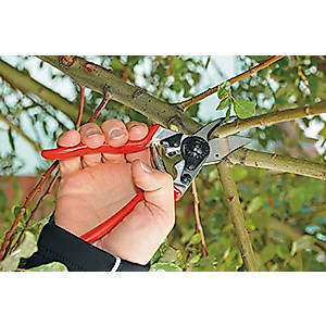 Felco Pruning Shears (F 6) - High Performance Swiss Made One-Hand Garden Pruners - 100052385
