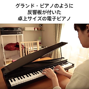 Korg microPiano 61 - Key Minature Grand Piano, Black