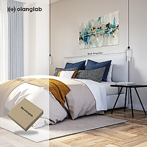 Olanglab Art Acoustic Panels,6 Pack 48''x32'' Acoustical Soundproof Wall Panels Sound Absorbing, Decorative Sound proofing，Sound Absorbing Panels, Studio Acoustic Treatment (Small Size)