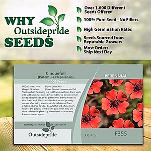 Outsidepride Cinquefoil Red Flowering Garden Flower Seeds - 2000 Seeds