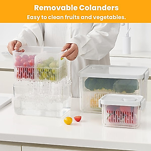 vacane Fruit Storage Containers for Fridge 3.8 Cup, Produce Containers with Colanders, Dishwasher Safe Berry Containers, BPA-Free Produce Storage Container, Keep berries Fresh