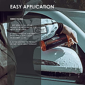 WASH&WHIPS Hockenheim Bug Remover - for Dead Insects, Droppings and Grease for Car Detailing, RVs, Trailers, Boats, Professional Strength Dissolves without Scratching, 16 fl oz