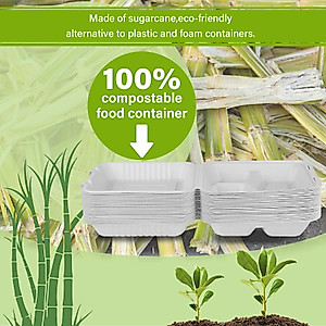 greensight Compostable Take Out Food Container 8X8, 100 Pack 3 Compartment Clamshell Food Container, Disposable To Go Food Boxes, Biodegradable Food Containers Made of White Sugar Cane Fibers